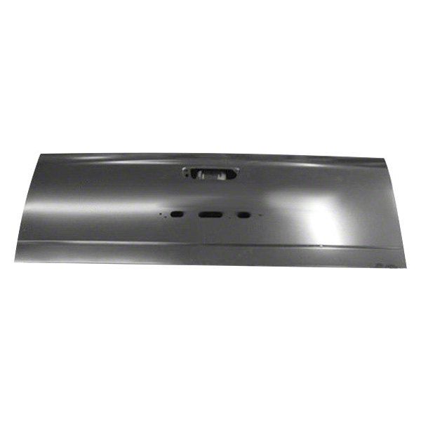 RAM 1500 Tailgate; Rear Gate Shell (02-08 RAM 1500)