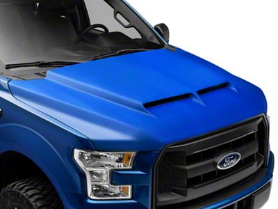 F-150 Hoods & Hood Struts for 2015, 2016, 2017, 2018, 2019, 2020 ...