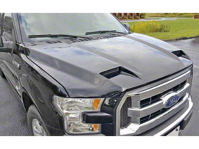 F-150 Hoods & Hood Struts | AmericanTrucks.com