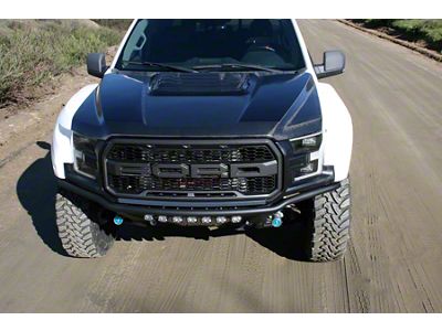 F-150 Hoods & Hood Struts for 2015, 2016, 2017, 2018, 2019, 2020 ...